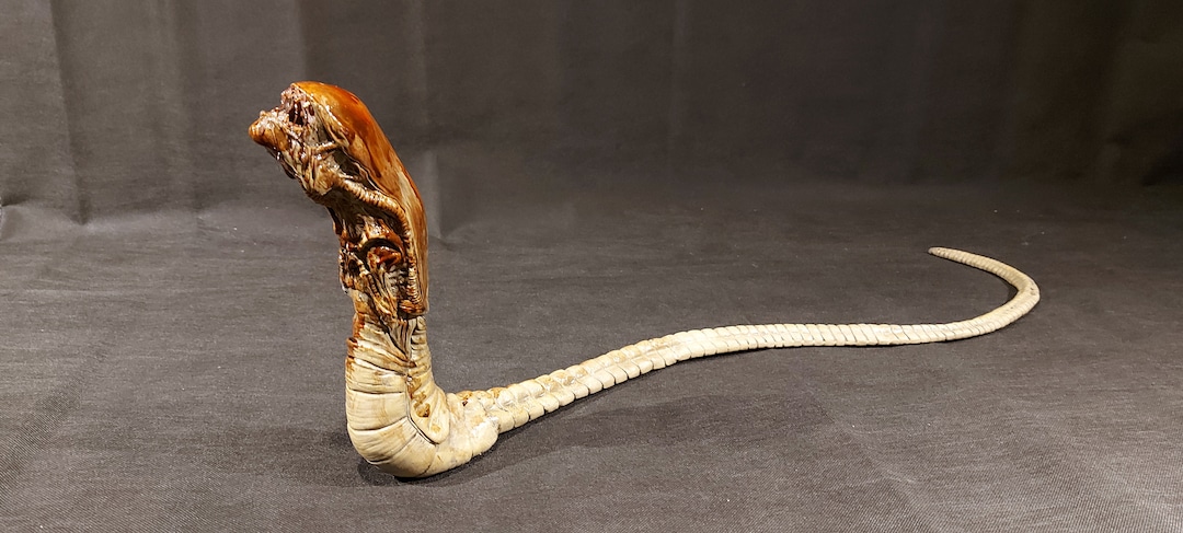 Aliens Chestburster bloody Version 1/1 Life Size Finished - Etsy