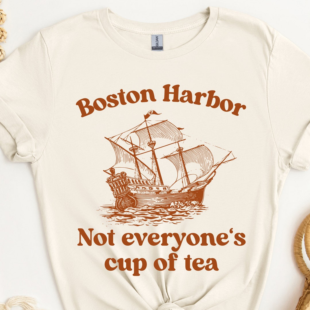 History Teacher Shirt, History Buff Gift, Funny History Shirt, History ...