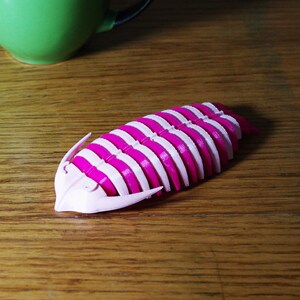 Trilobite 3d Printed Flexible Prehistoric Creature Quick Dispatch From ...