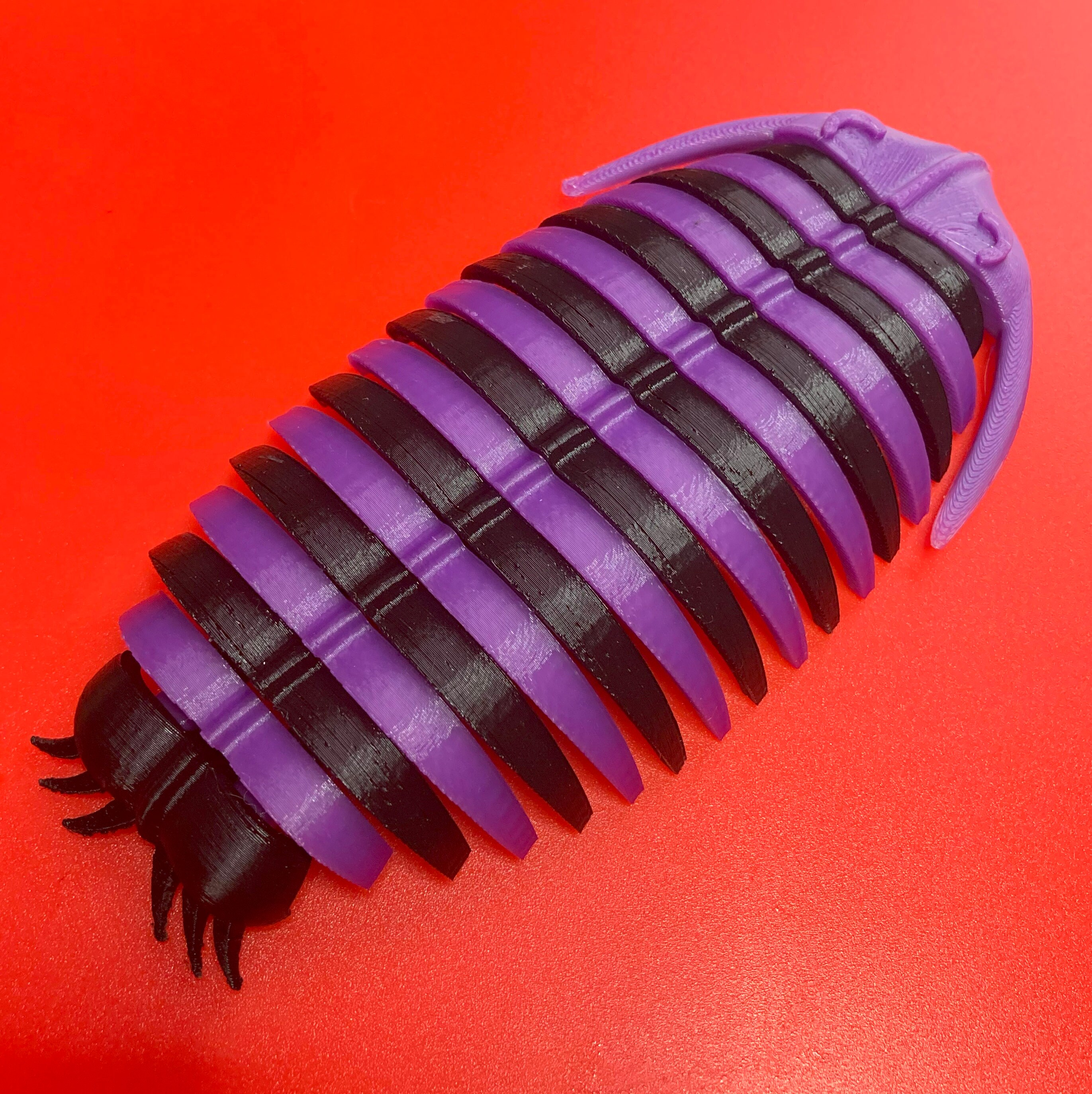 Trilobite 3d Printed Flexible Prehistoric Creature Quick Dispatch From ...
