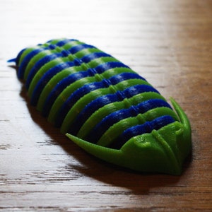 Trilobite 3d Printed Flexible Prehistoric Creature Quick Dispatch From ...