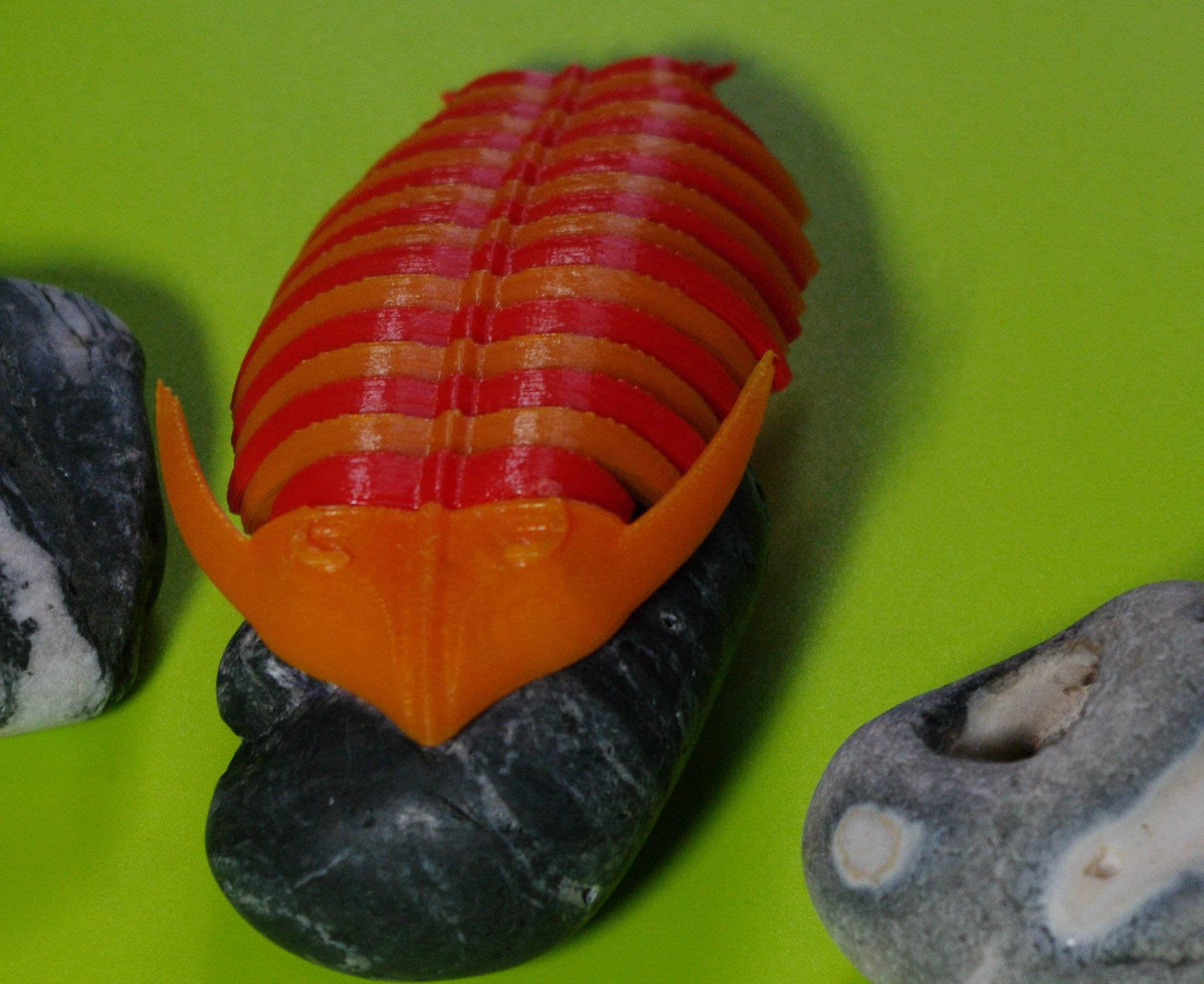 Trilobite 3d Printed Flexible Prehistoric Creature Quick Dispatch From ...