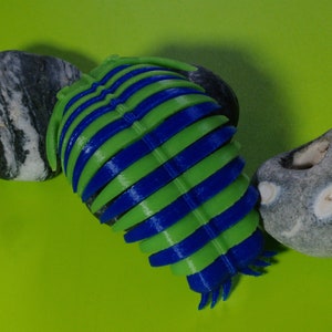 Trilobite 3d Printed Flexible Prehistoric Creature Quick Dispatch From ...