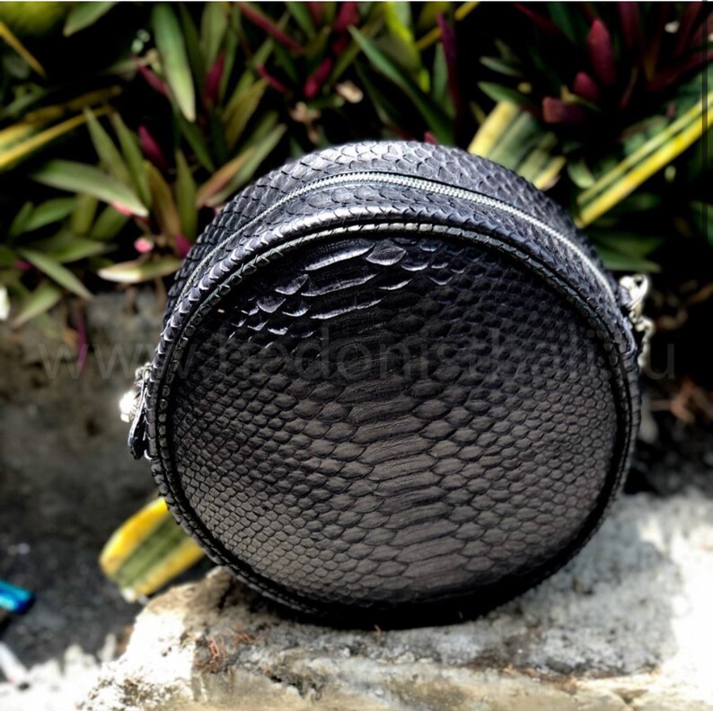 Genuine Python Skin Black Round Crossbody Chain Bag Round | Etsy