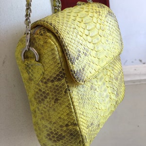 Genuine Python Skin Crossbody Chain Yellow Snake Print Tassel Bag ...