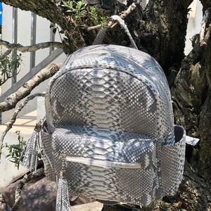 Genuine Python Skin Backpack Grey Woman Classy Elegant Backpack Leather ...