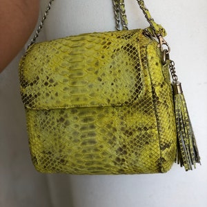 Genuine Python Skin Crossbody Chain Yellow Snake Print Tassel Bag ...
