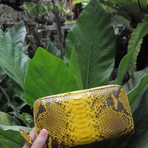 Wallet Genuine Python Skin Yellow Snake Color, Women Wallet, Leather ...