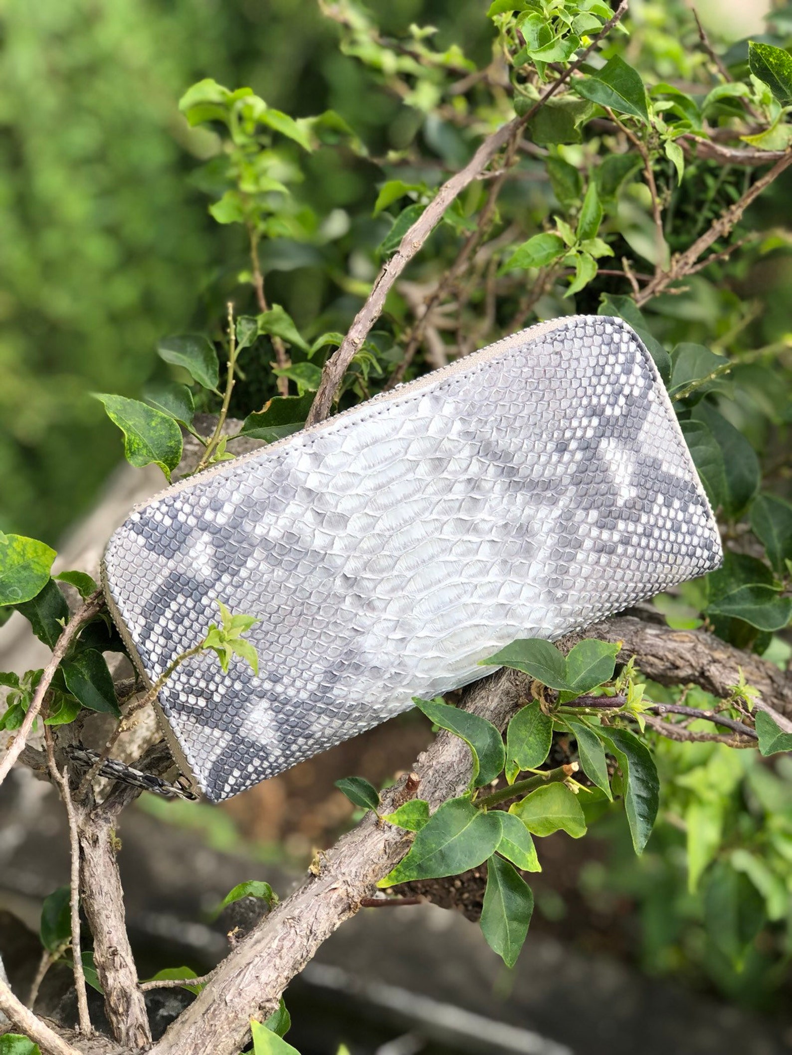 Genuine Python Skin Wallet Money Wallet Genuine Leather Big - Etsy