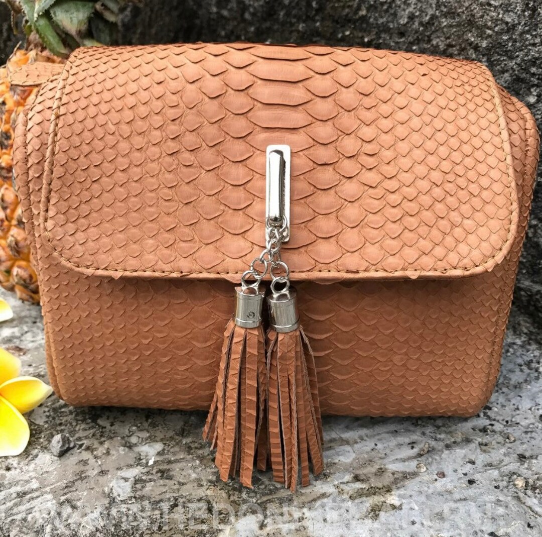 Genuine Python Skin Crossbody Bag | Chain Tassel Beige Nude Bag ...