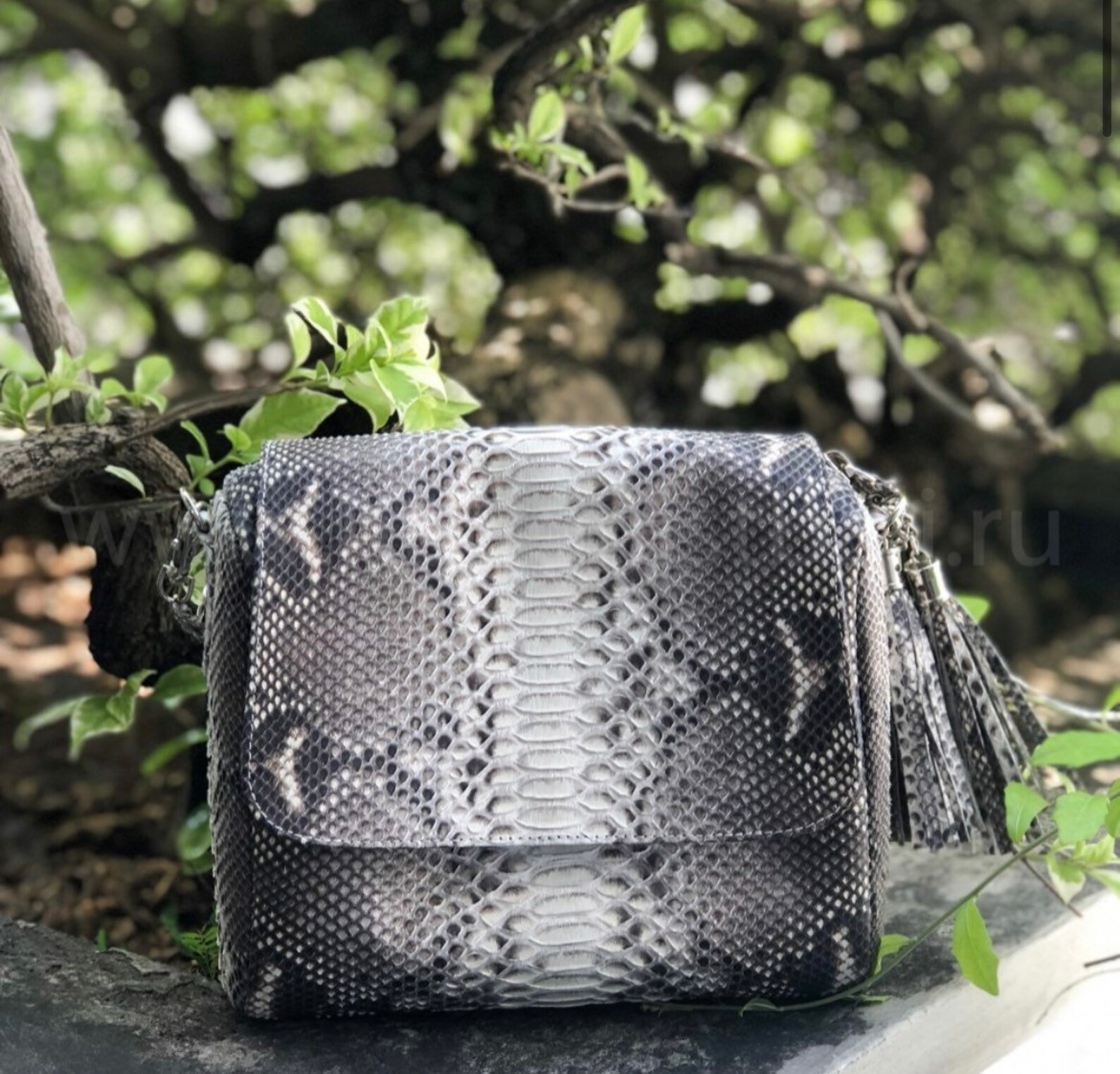 Genuine Python Skin Crossbody Bag Chain Tassel Snakeprint Bag Leather ...