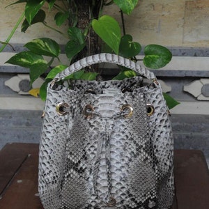 Genuine Python Skin Grey Bucket Crosshandle Bag/ Designer Women Purse ...