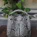 Genuine Python Skin Grey Bucket Crosshandle Bag/ Designer - Etsy