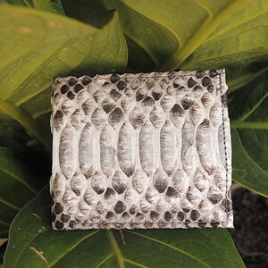 Genuine Python Skin Men Flat Wallet | Exotic Leather Money Wallet ...