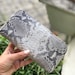Genuine Python Skin Wallet Money Wallet Genuine Leather Big - Etsy