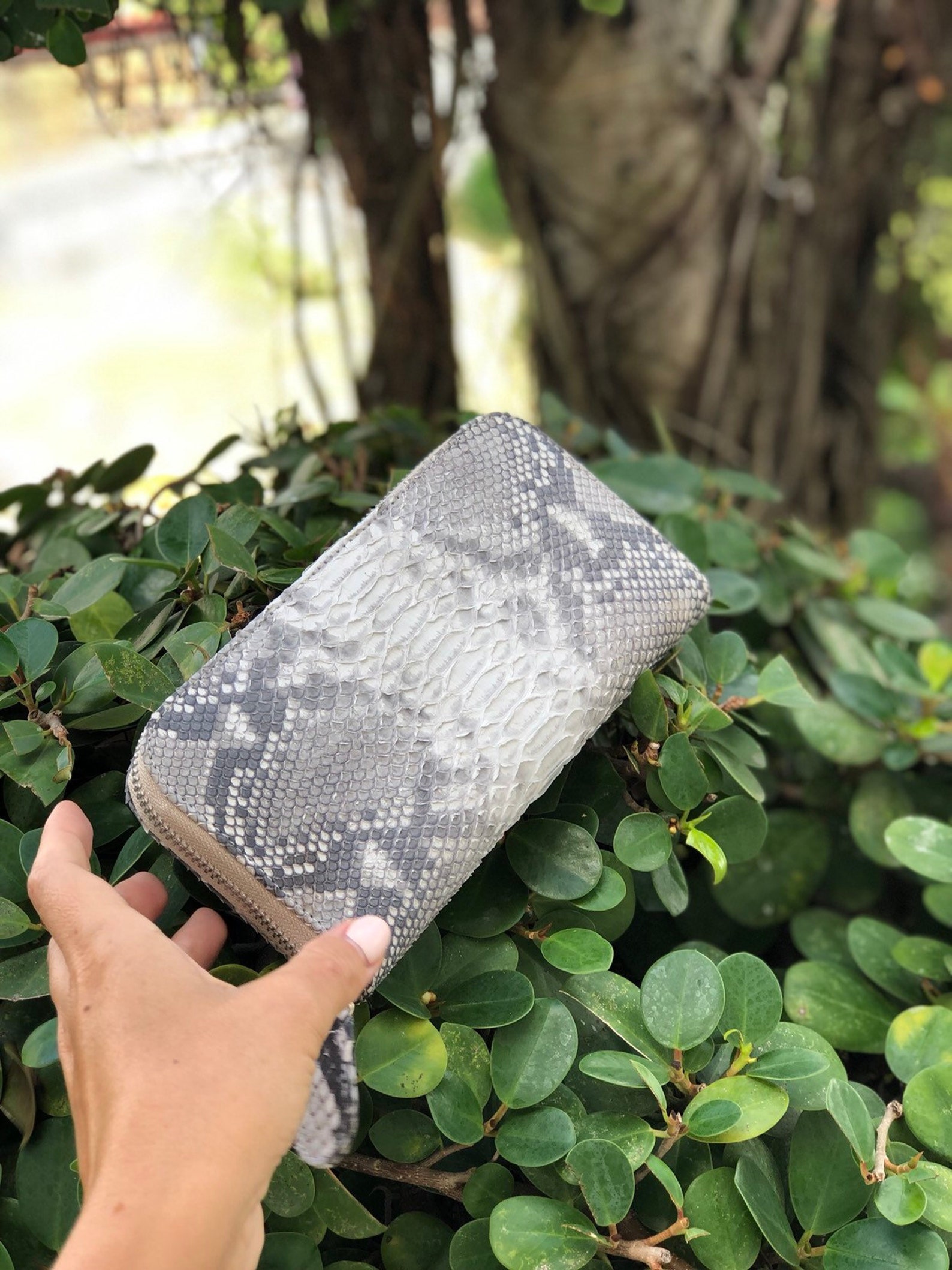 Genuine Python Skin Wallet Money Wallet Genuine Leather Big - Etsy