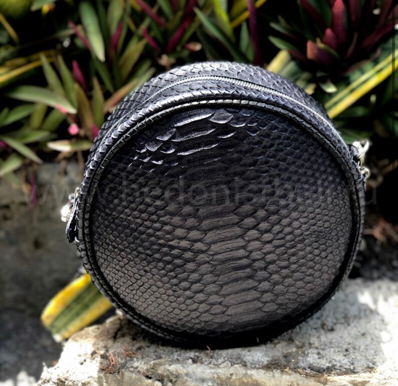 Genuine Python Skin Black Round Crossbody Chain Bag Round | Etsy