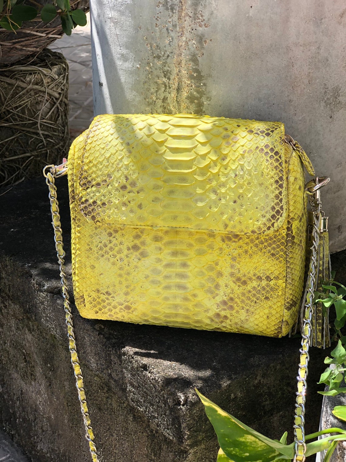 Genuine Python Skin Crossbody Chain Yellow Snake Print Tassel - Etsy