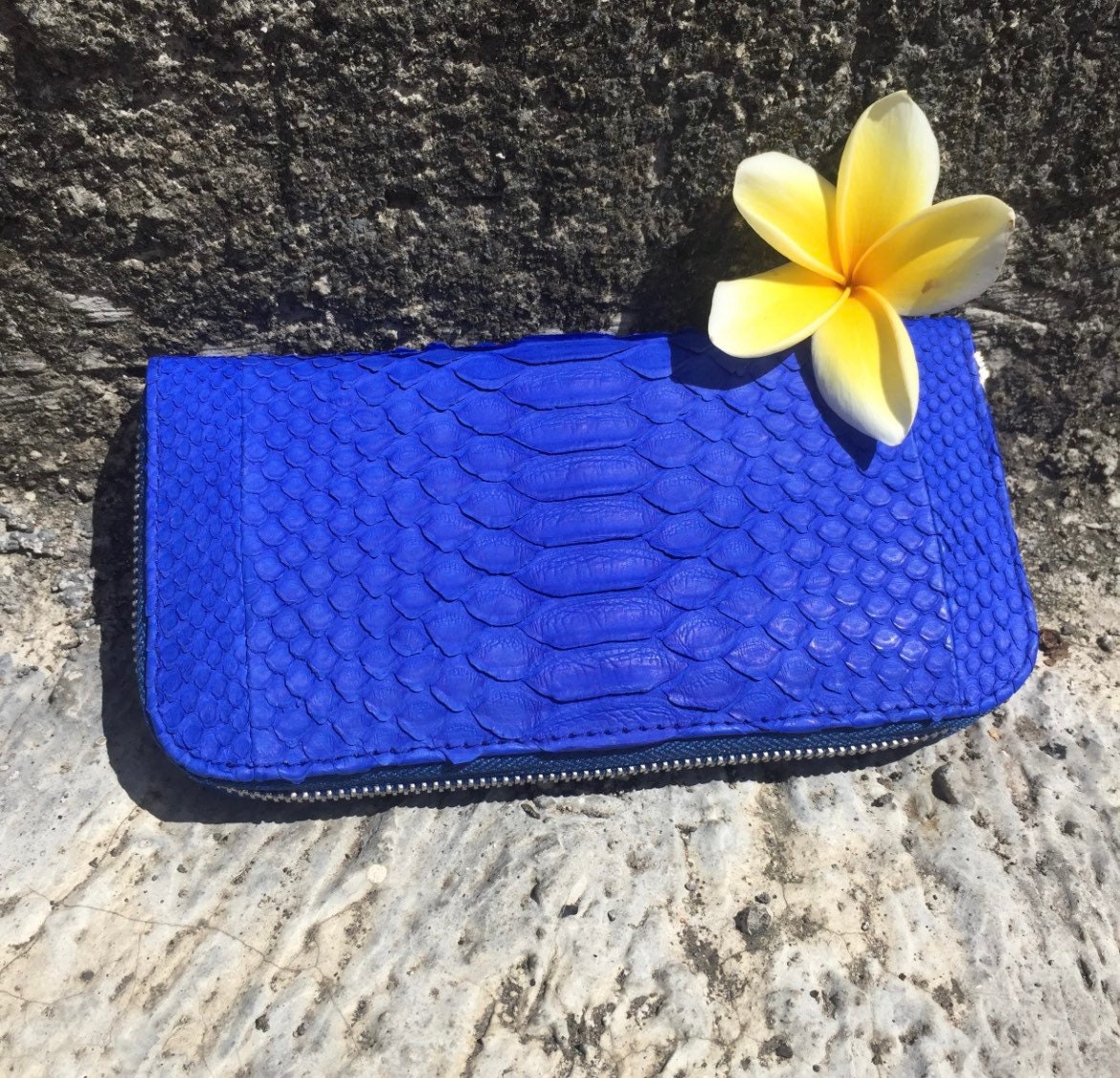 Wallet Genuine Python Skin Electic Blue Color Women Wallet - Etsy