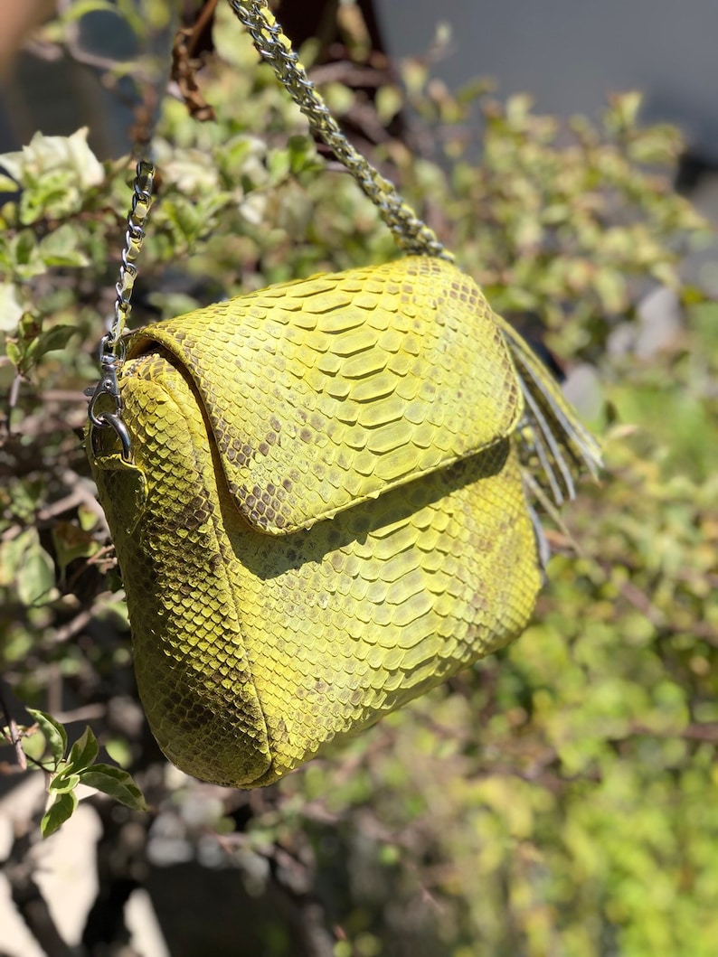 Genuine Python Skin Crossbody Chain Yellow Snake Print Tassel - Etsy