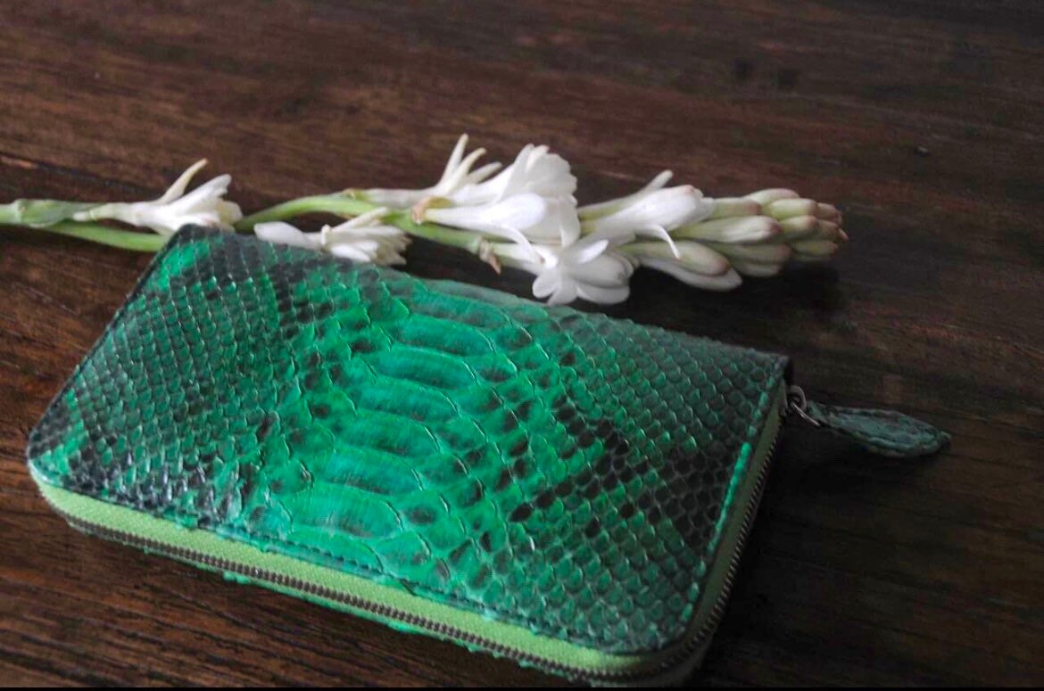 Python Skin Wallet Green Genuine Python Light Green Colour - Etsy