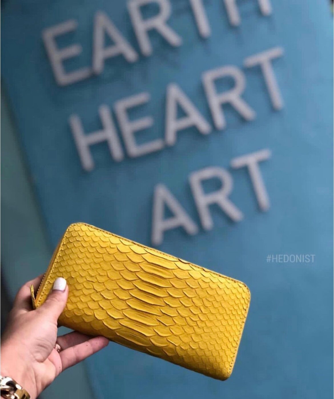 Wallet Genuine Python Skin Yellow Color, Women Wallet, Leather Lady ...