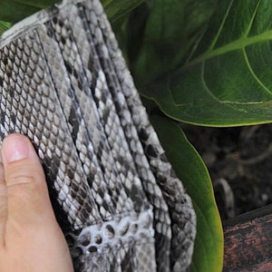 Genuine Python Skin Men Flat Wallet | Exotic Leather Money Wallet ...