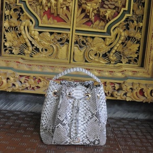 Genuine Python Skin Grey Bucket Crosshandle Bag/ Designer Women Purse ...