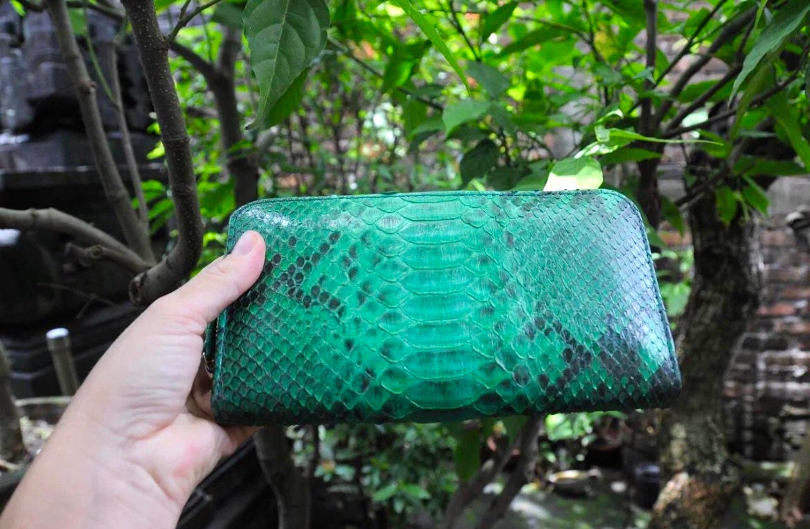Python Skin Wallet Green Genuine Python Light Green Colour - Etsy