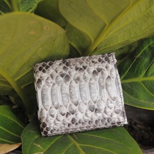 Genuine Python Skin Men Flat Wallet | Exotic Leather Money Wallet ...