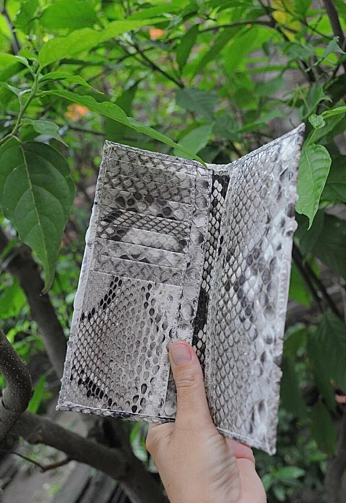 Genuine Python Skin Flat Unisex Gray Uncolored Wallet / Small - Etsy