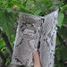Genuine Python Skin Flat Unisex Gray Uncolored Wallet / Small - Etsy