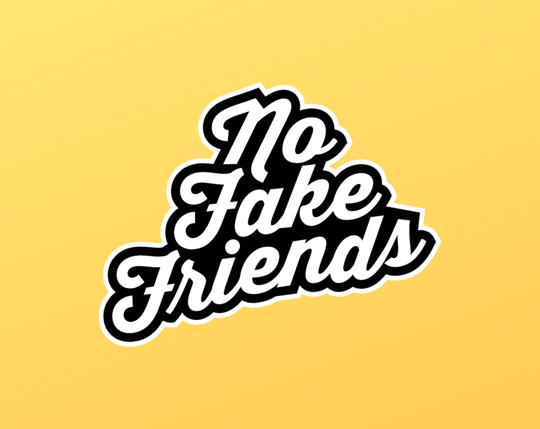 No Fake Friends Vinyl Sticker, Best Friend Gift, Cute Stickers, Funny ...