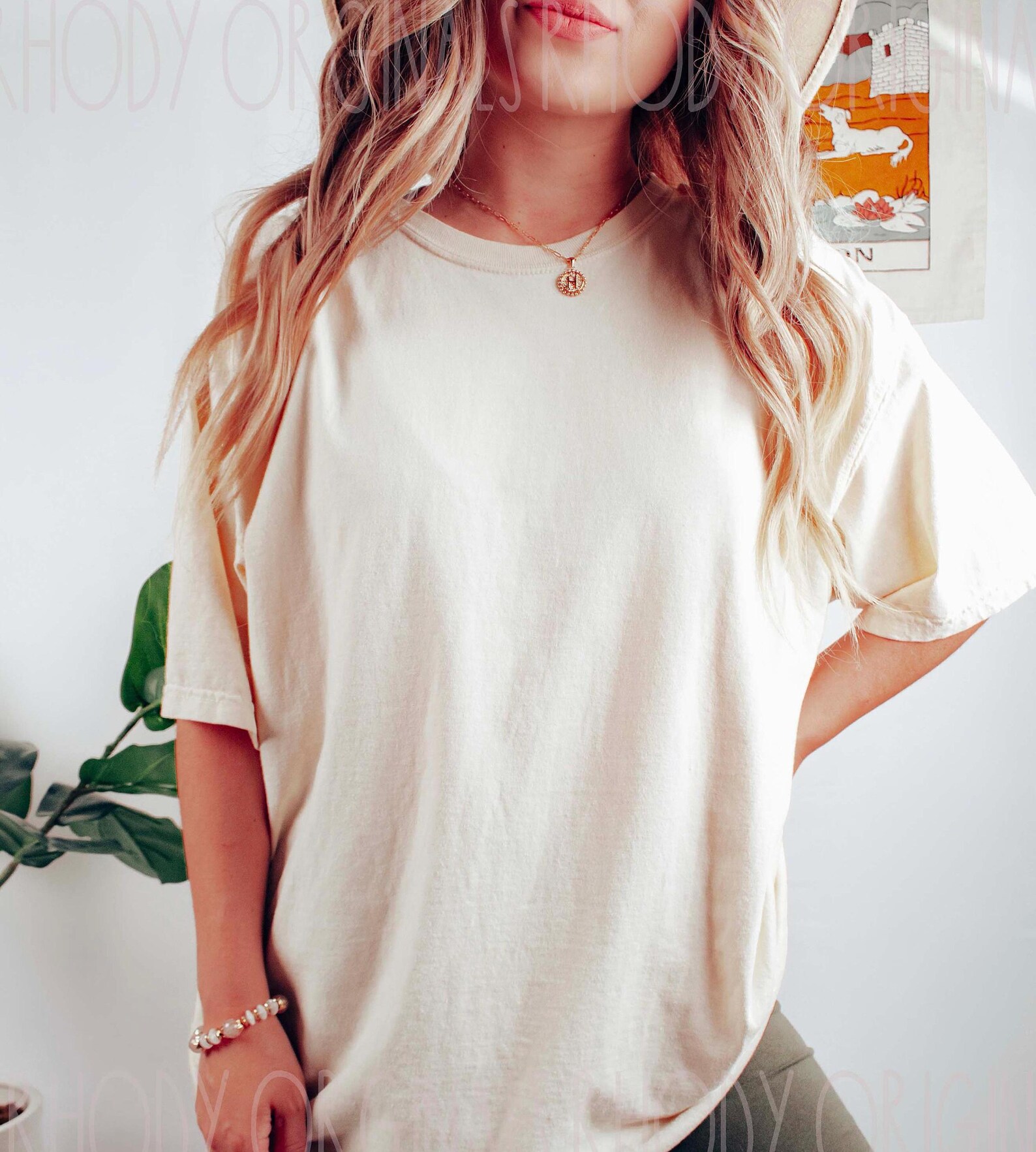 Comfort Colors Neutral Tees, Soft Cotton Blank T Shirt, Soft Cozy Fall ...