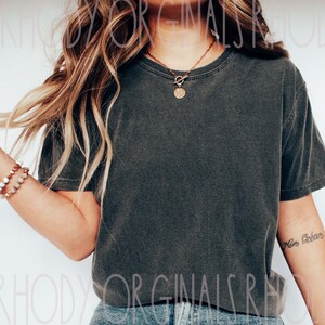 Comfort Colors Neutral Tees, Soft Comfort Colors Blank Shirt, Soft Cozy ...