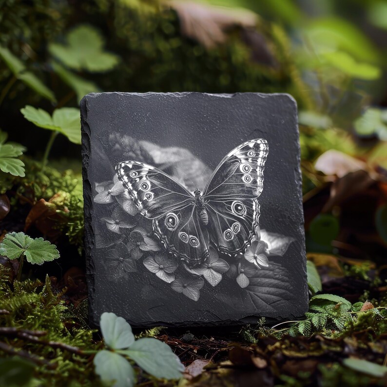 20 Insect Art Butterfly and Moth PNG Designs for Laser Engraving ...