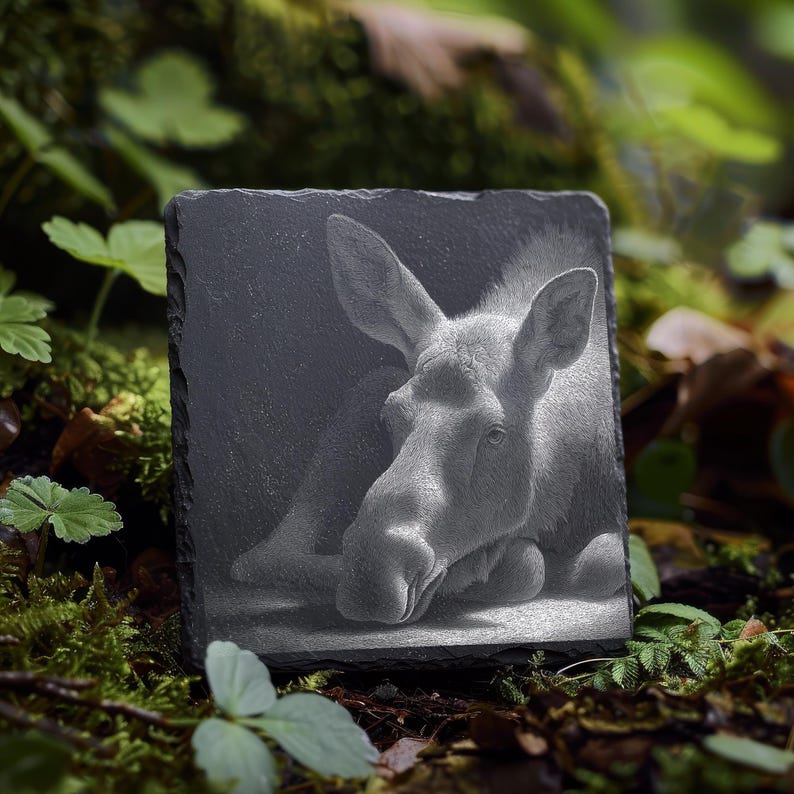 20 Majestic Moose Engraving Designs PNG Bundle | High-contrast Wildlife ...