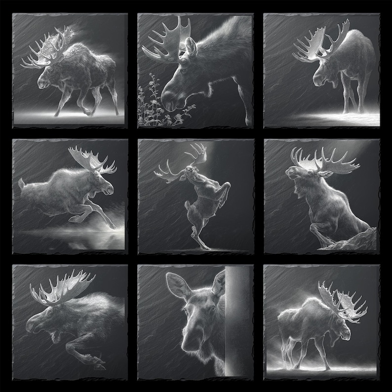 20 Majestic Moose Engraving Designs PNG Bundle | High-contrast Wildlife ...
