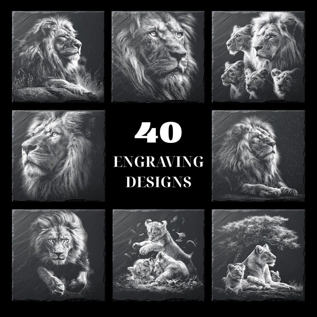 40 Majestic Lion Engraving Designs PNG Bundle | King of the Jungle ...