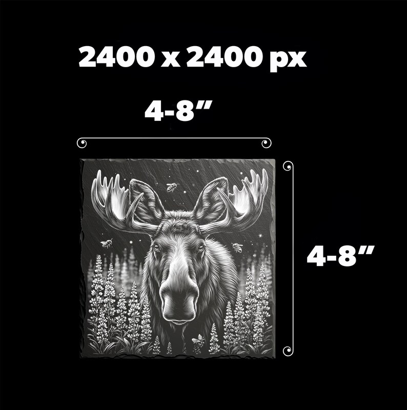20 Detailed Moose Engraving PNG Pack Bundle Digital Download, Glowforge ...