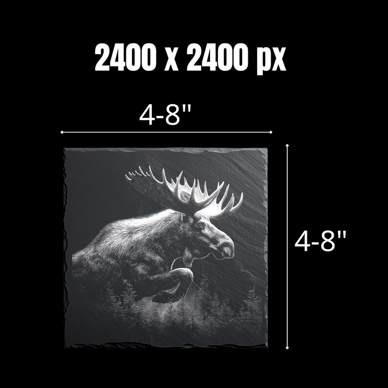 6 Moose Landscape PNG | Slate Coaster Engraving Files | Forest River ...