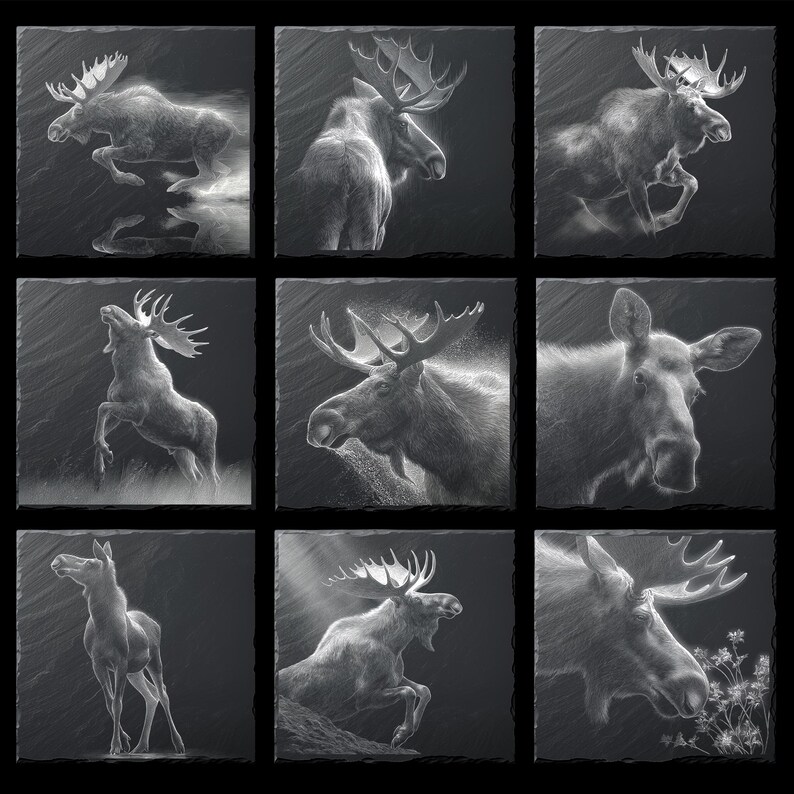 20 Majestic Moose Engraving Designs PNG Bundle | High-contrast Wildlife ...