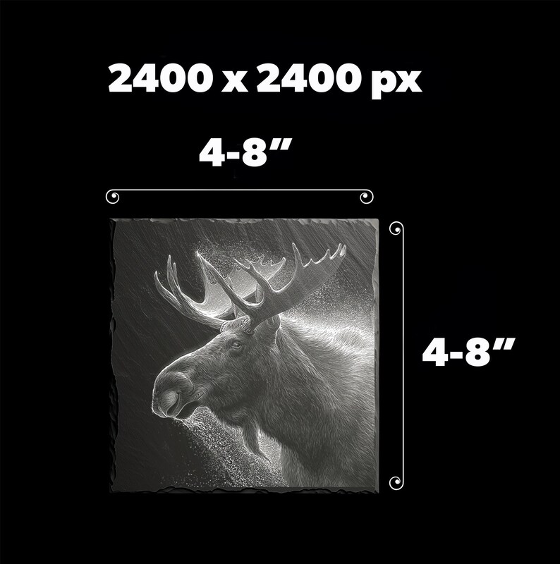 20 Majestic Moose Engraving Designs PNG Bundle | High-contrast Wildlife ...