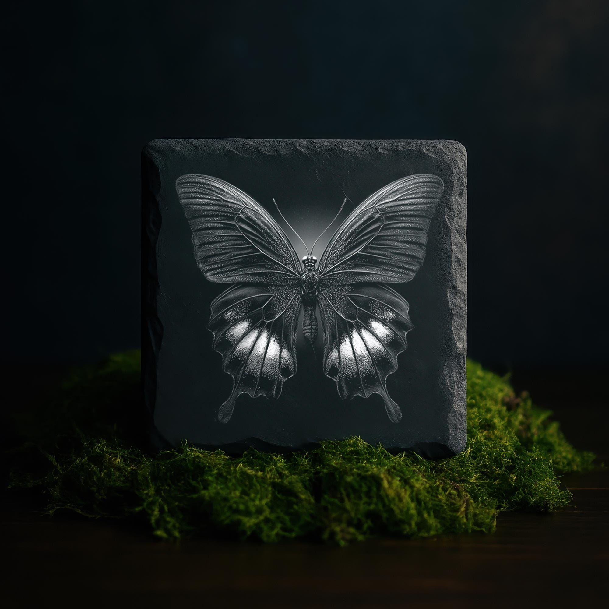 10 Butterfly Engraving PNG Bundle for Engraving Digital Download for ...