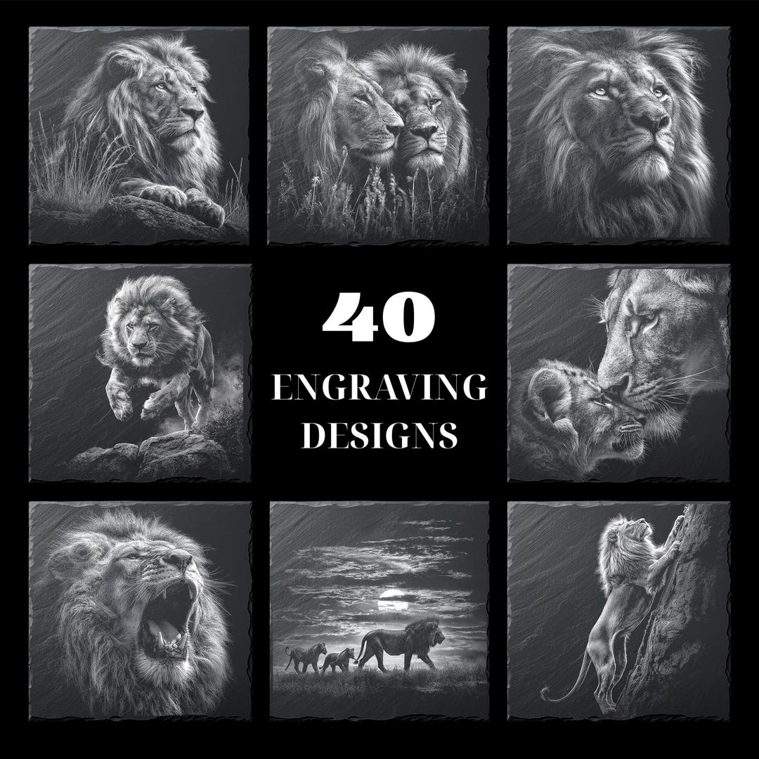40 Majestic Lion Engraving Designs PNG Bundle | King of the Jungle ...