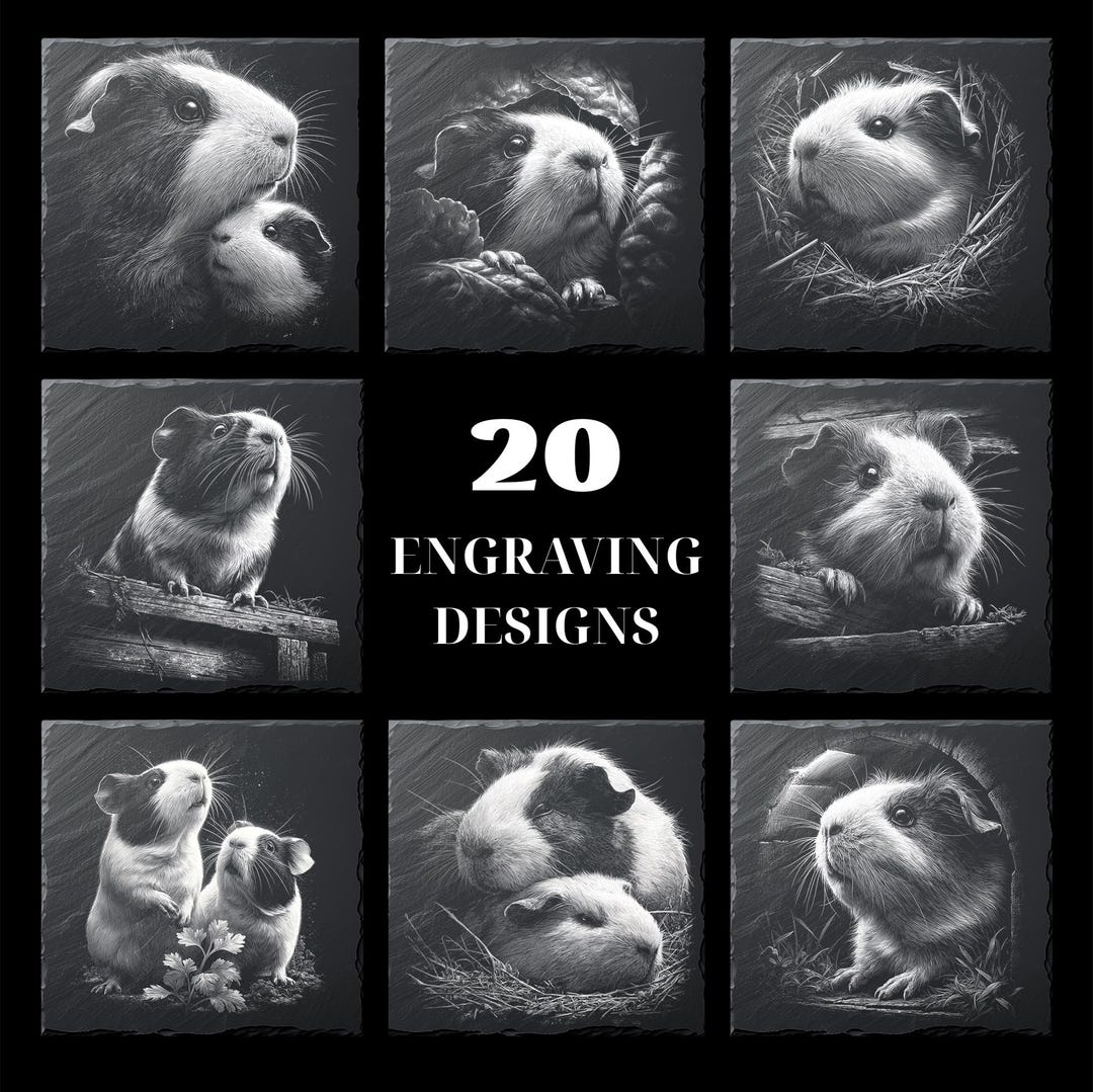 20 Guinea Pig Laser Engraving Designs for Slate Coasters - PNG Files ...