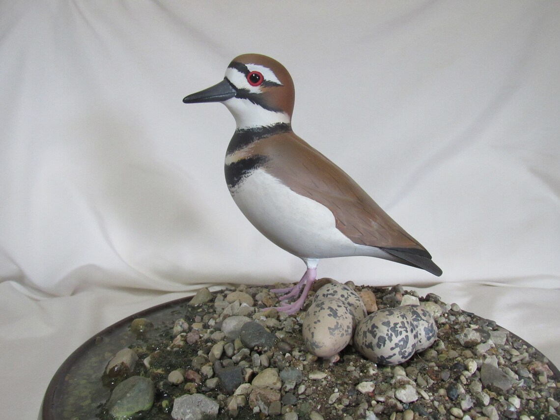 Hand Carved Life Size Killdeer Wood Carving Hand Painted - Etsy