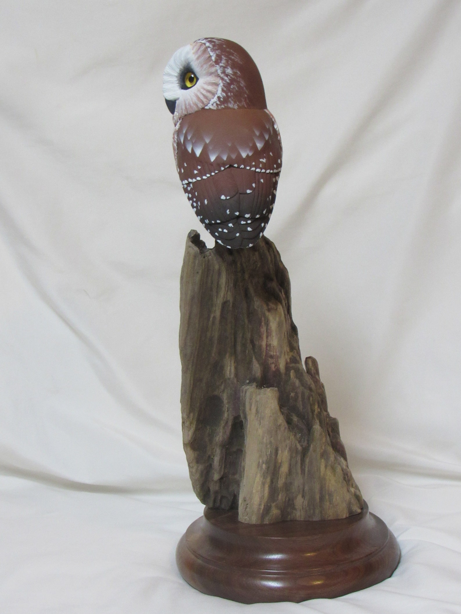 Life Size Saw-whet Owl Wood Carving Detailed Realistic Hand Painted ...