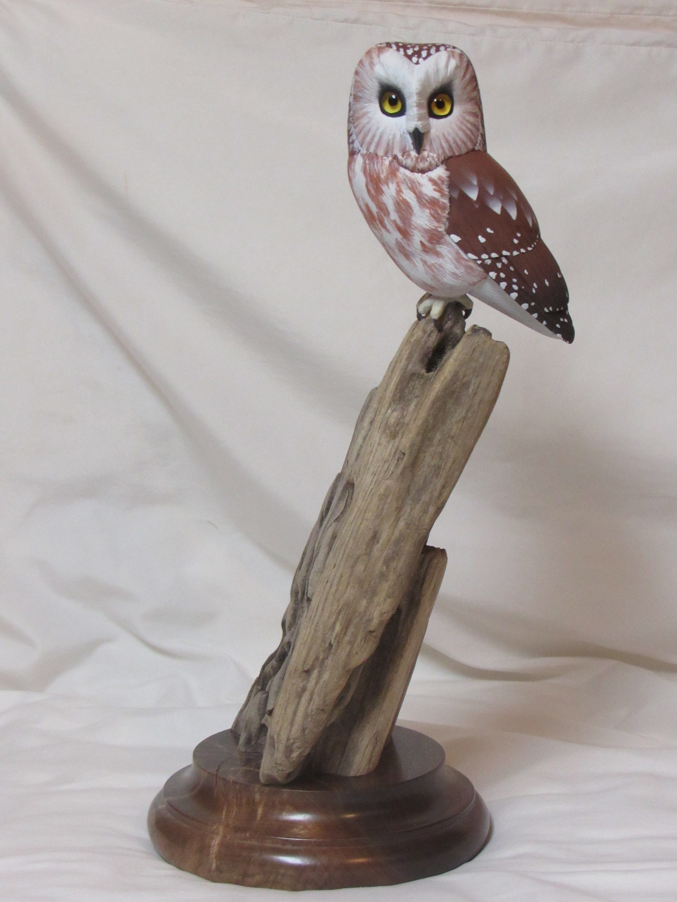 Life Size Saw-whet Owl Wood Carving - Detailed Realistic Hand Painted ...