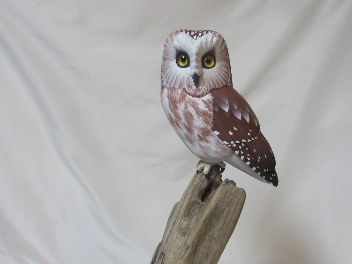 Life Size Saw-whet Owl Wood Carving Detailed Realistic Hand Painted ...